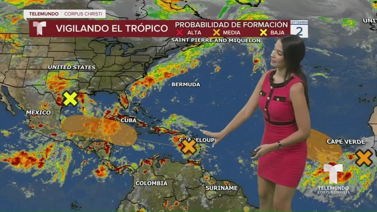 Zuleika Soler Telemundo Digital 9.2.24 - YouTube