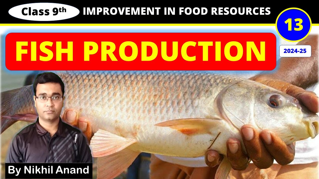 C12P13 Fish Production | Inland Fisheries | Marine Fisheries ...