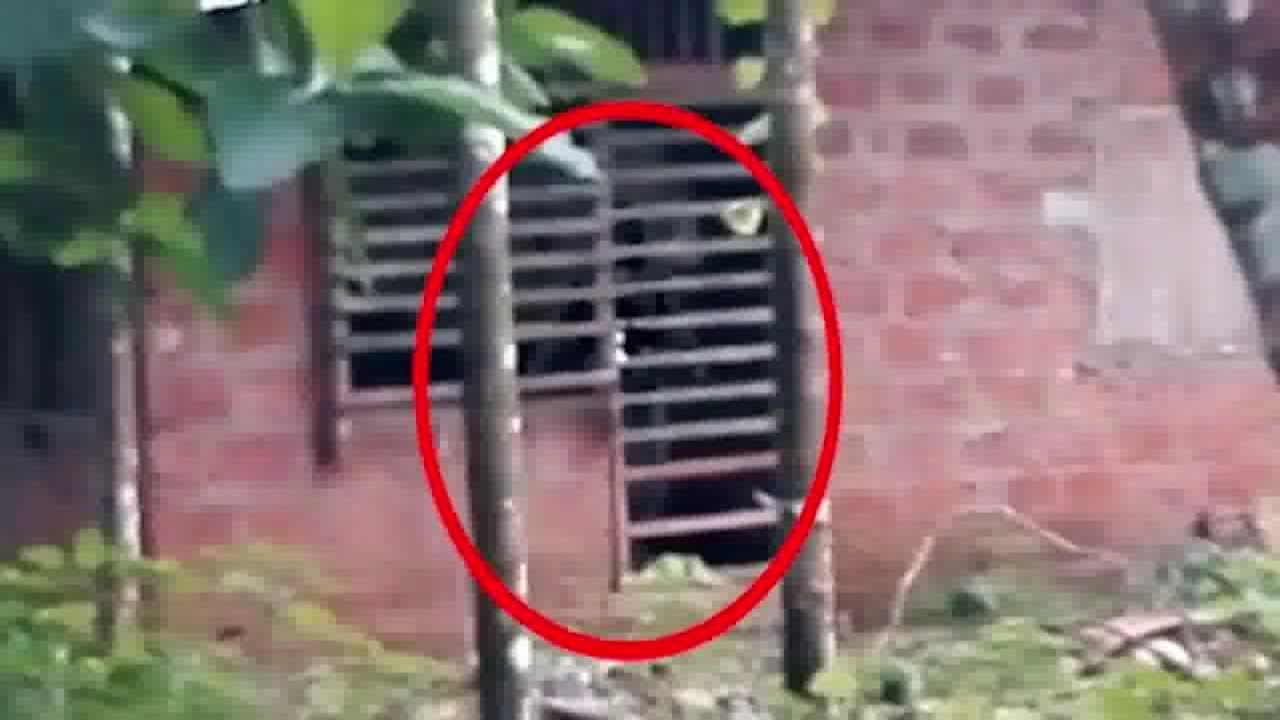 Explorador Encontra Algo Sobrenatural Explorer Finds Something ...