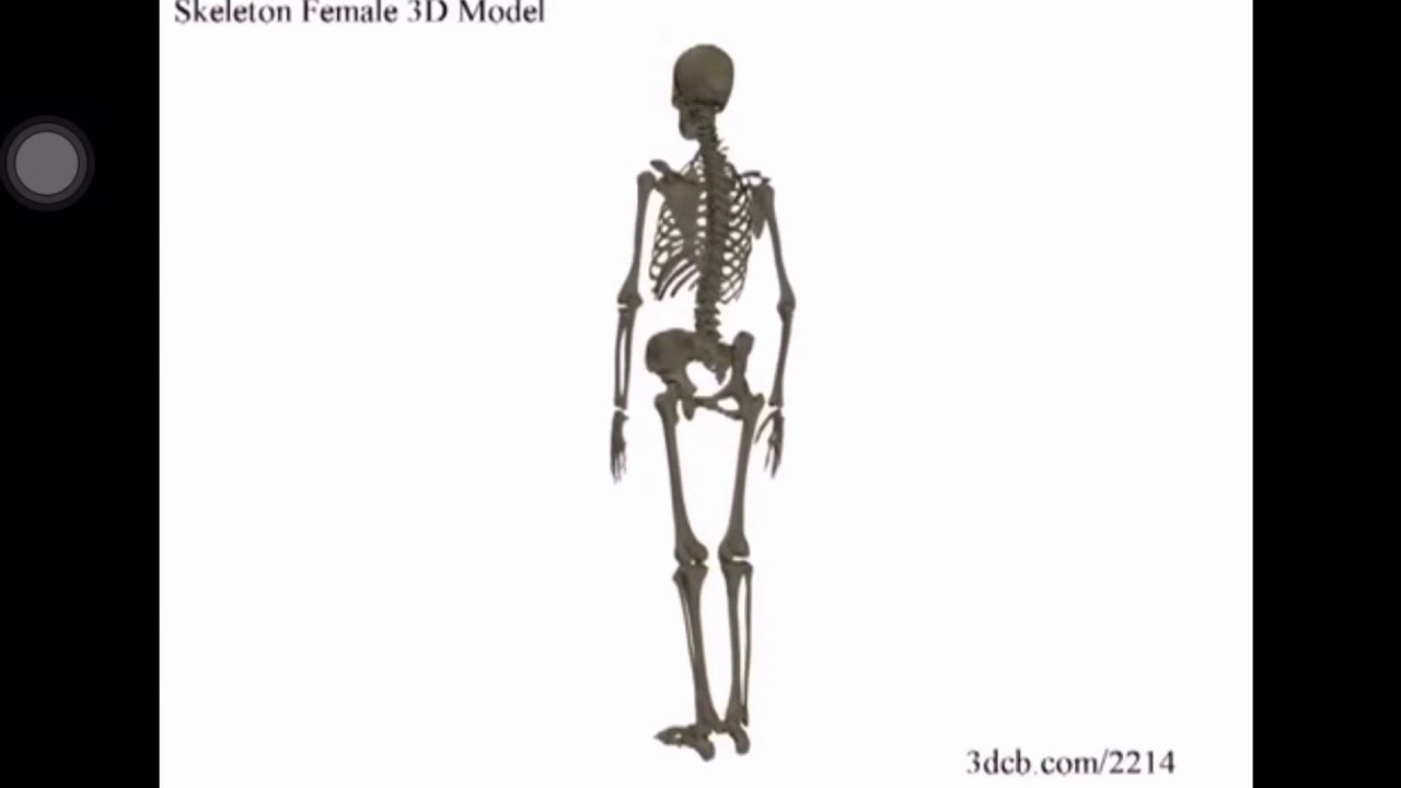 Cheeses Subliminals Deleted MtF Bone Structure - YouTube