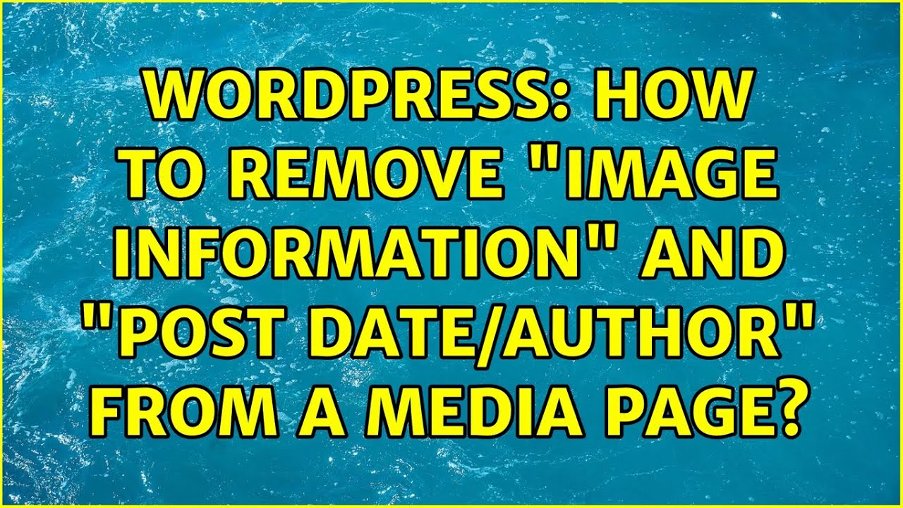 Wordpress How To Remove Image Information And post Date author wordpress-how-to-remove-image-information-and-post-date-author