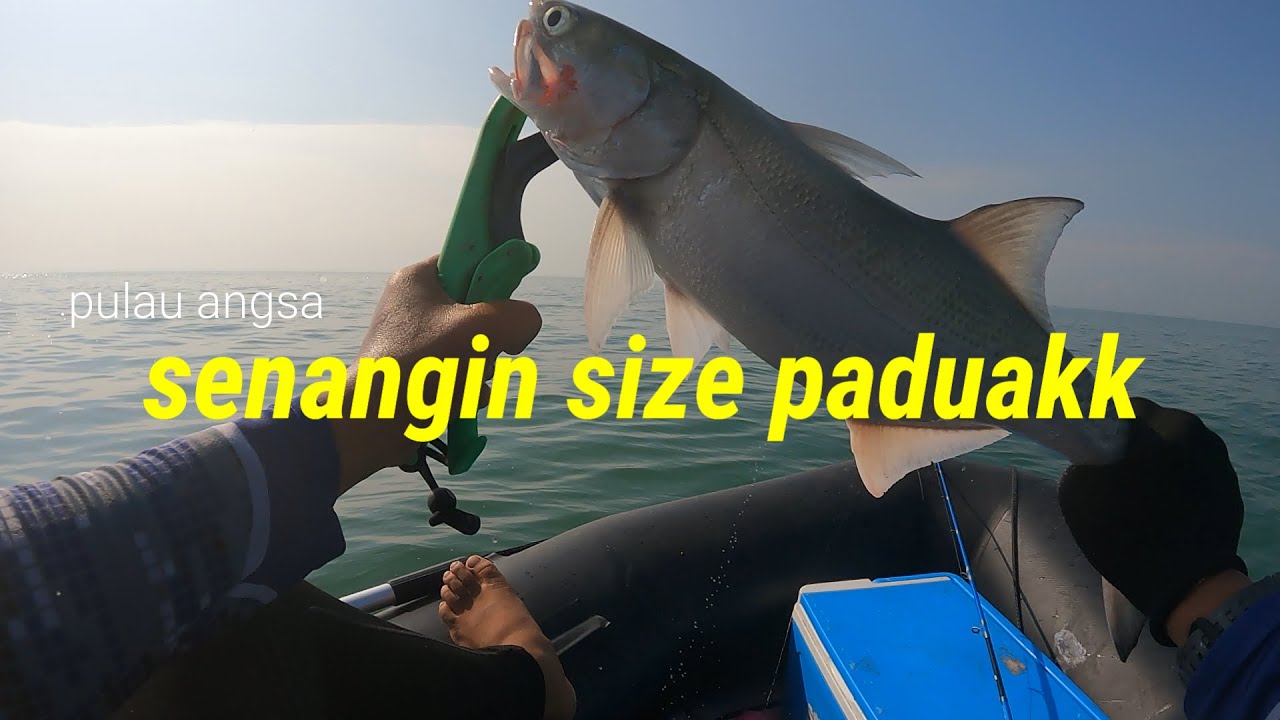#44 pulau angsa padu!!! - YouTube