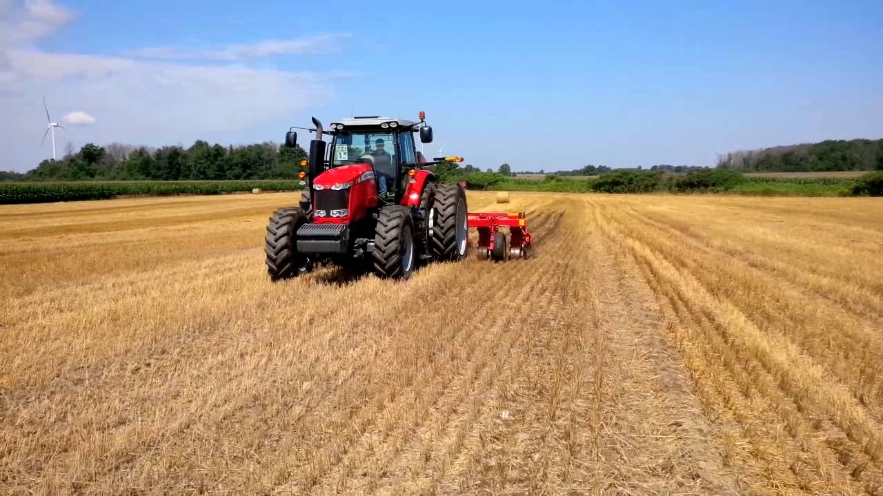 SUNFLOWER STRIP Till IN ACTION / ADVANTAGE FARM EQUIPMENT LTD - YouTube