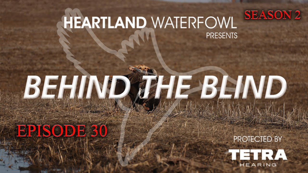 HOMEWARD BOUND | Behind The Blind S2EP30 - YouTube