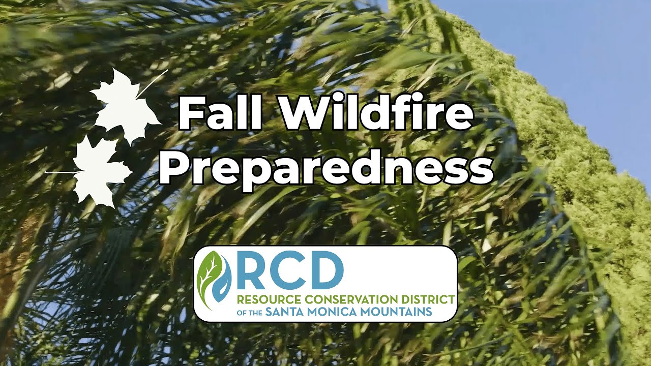 Fall Wildfire Seasonal Preparedness - YouTube