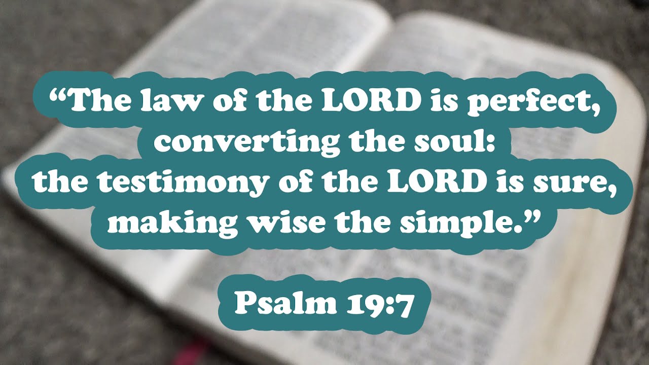 Psalm 19 Bible Study for Beginners! - YouTube