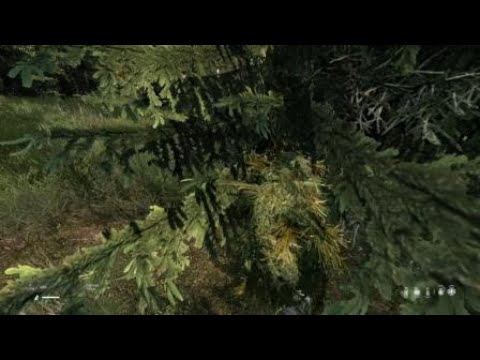 DayZ - VSS Vengeance - YouTube