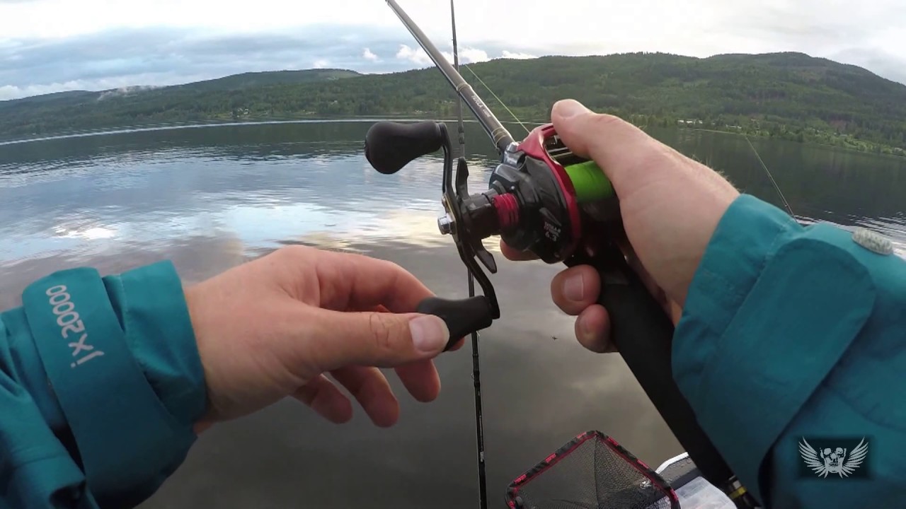 Team Colibri - Perch Fishing in Hurdalsjøen June 2017 - YouTube