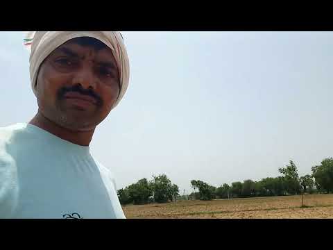 May seeds sowing 2025