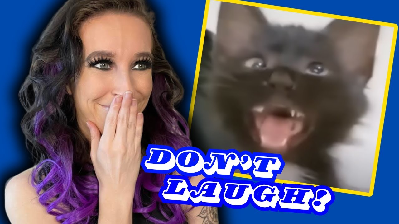 Try Not To Laugh Challenge | Ep. 1 - YouTube