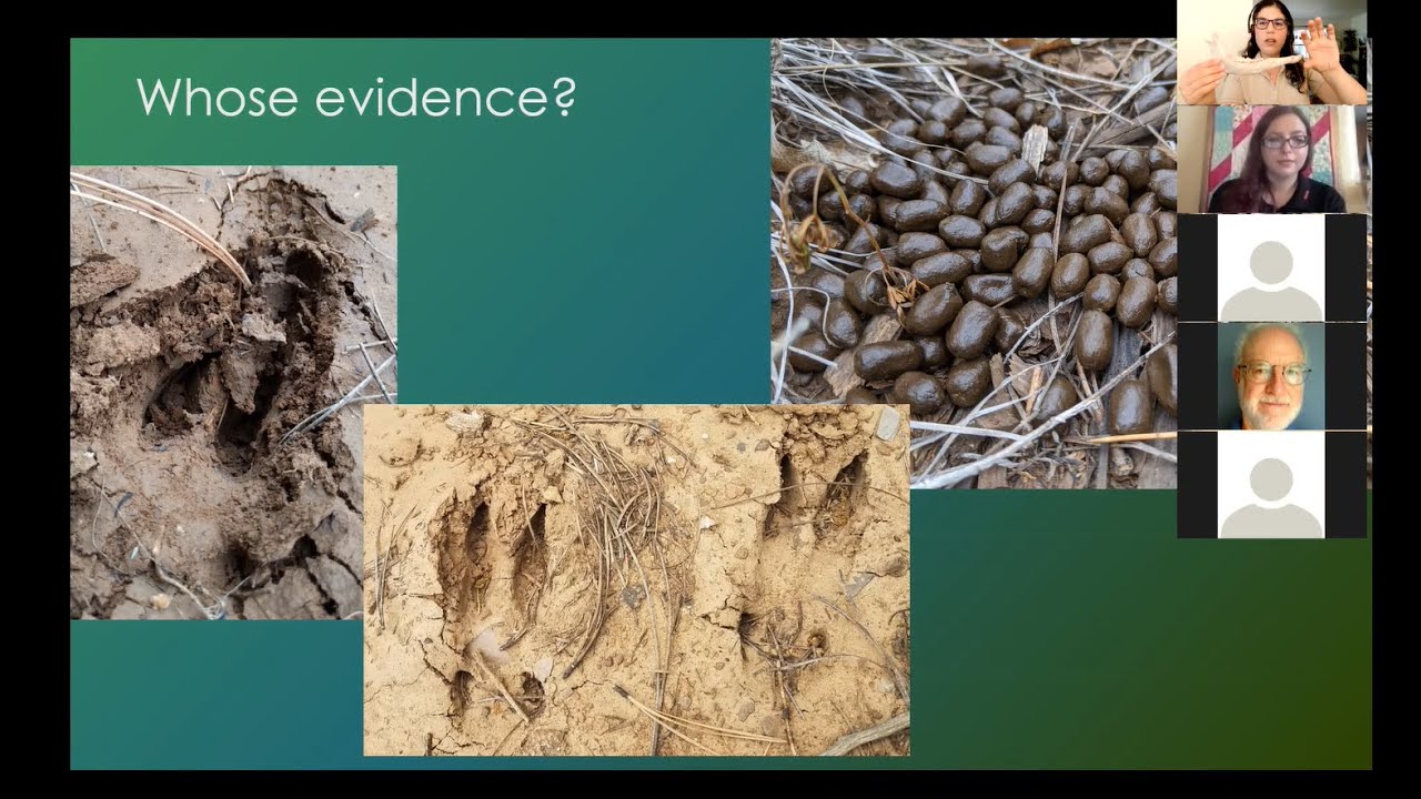 Animals & Their Evidence in the Sandia Mountains - YouTube