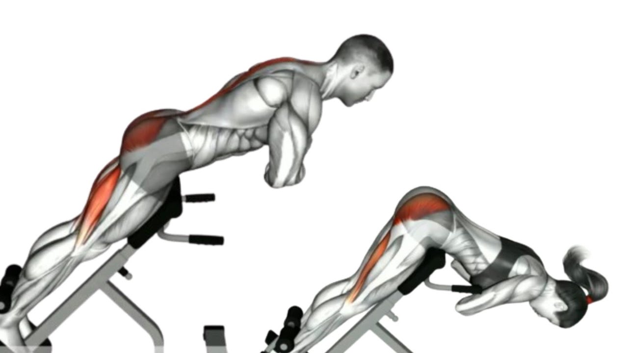 The Most Controversial Leg Exercise You Need to Try Now - YouTube