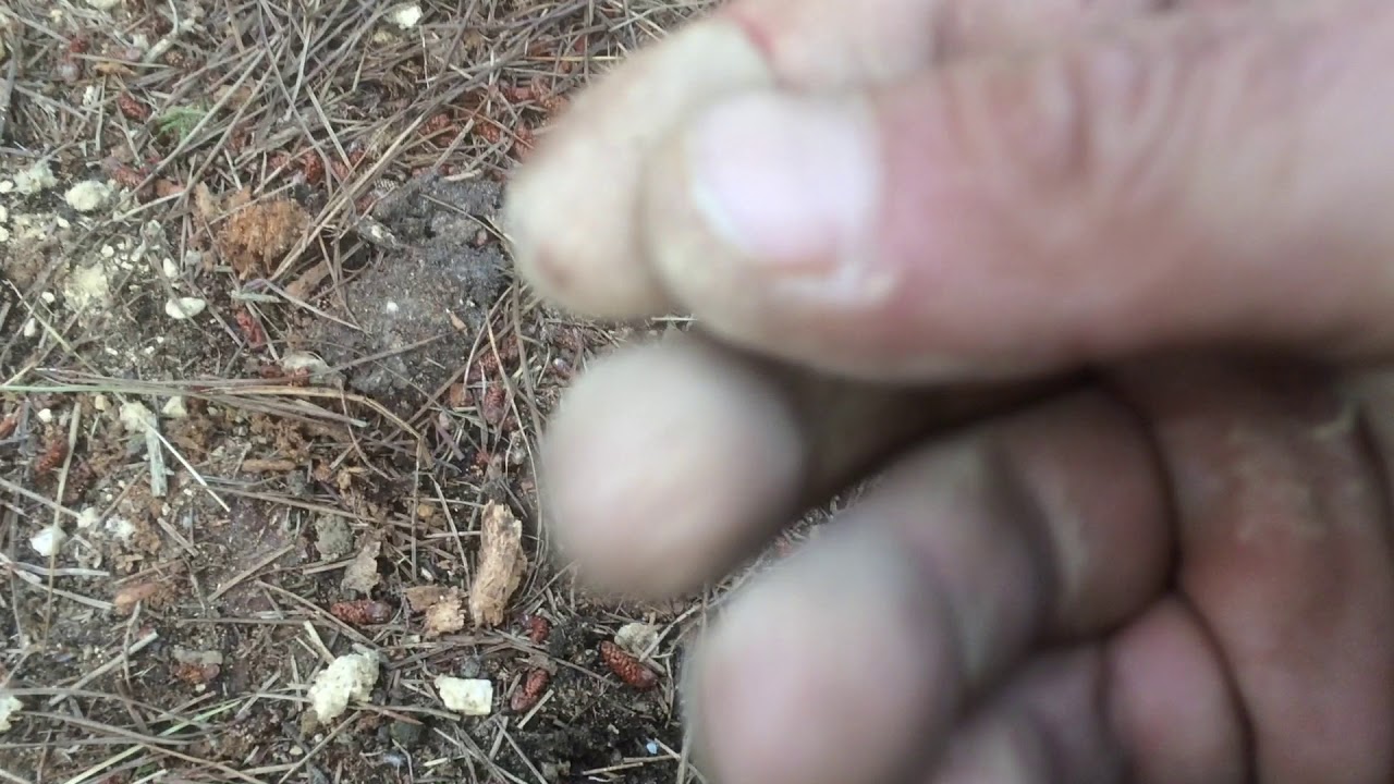 A nice 7 gram patch 4 the patch master😎 (Episode 37) - YouTube