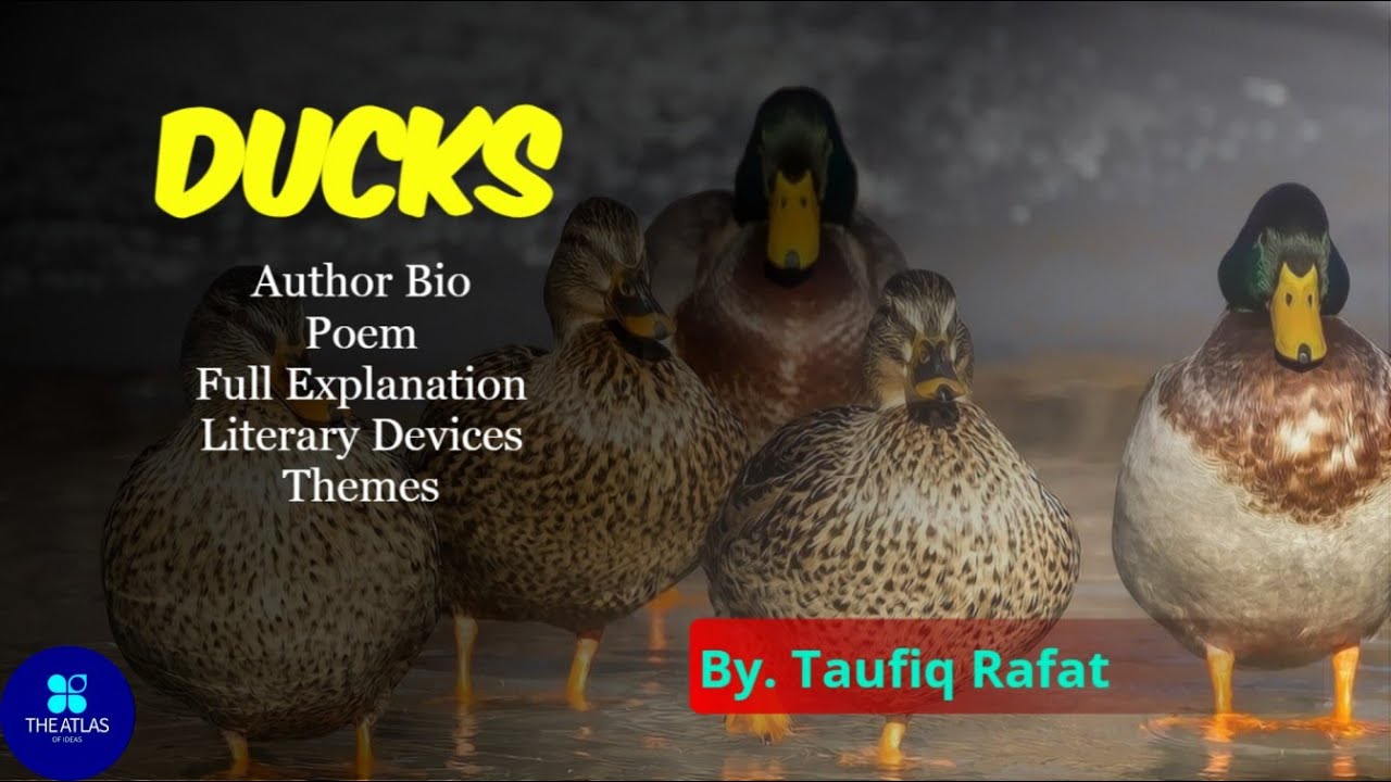Ducks by Taufiq Rafat | Ducks | Taufiq Rafat | Poem analysis | Toufiq ...