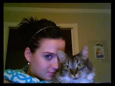 Katy Perry Obsessed With Kittens - YouTube