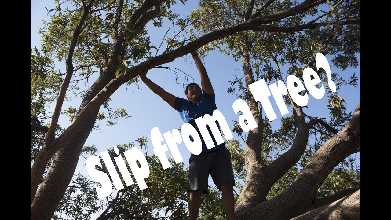 Stuck on a tree?!?! - YouTube