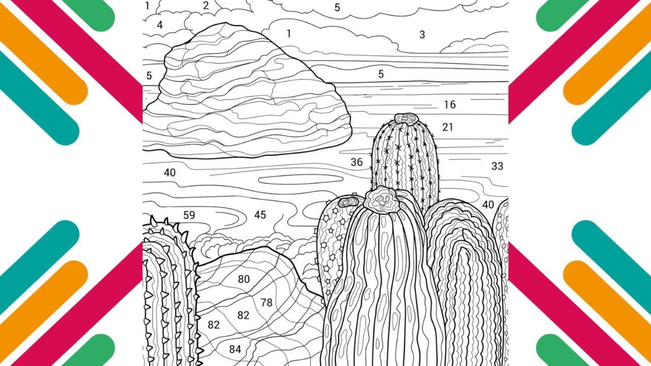 Cacti near the water. Coloring page by numbers - YouTube
