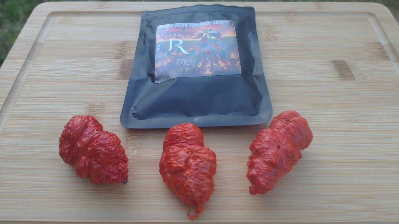 HOTTEST PEPPER IN THE WORLD!?!?!? KIWI HELLFIRE PEPPER!!! 🌶️🥵 - YouTube