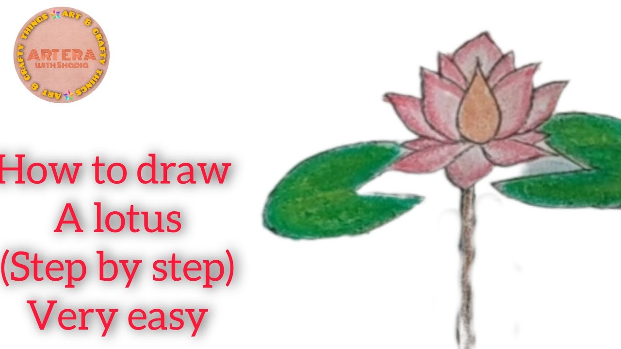 How to draw a Lotus (step by step) - YouTube
