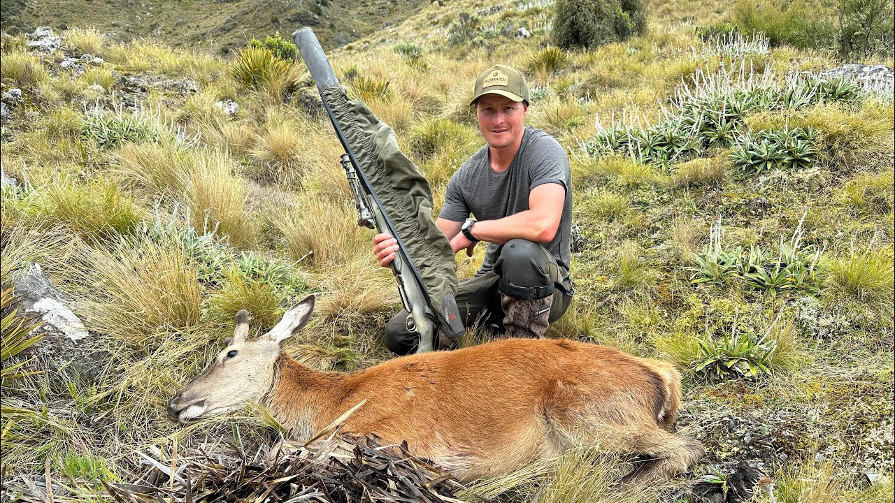 Alpine Deer | New Zealand Hunting - YouTube