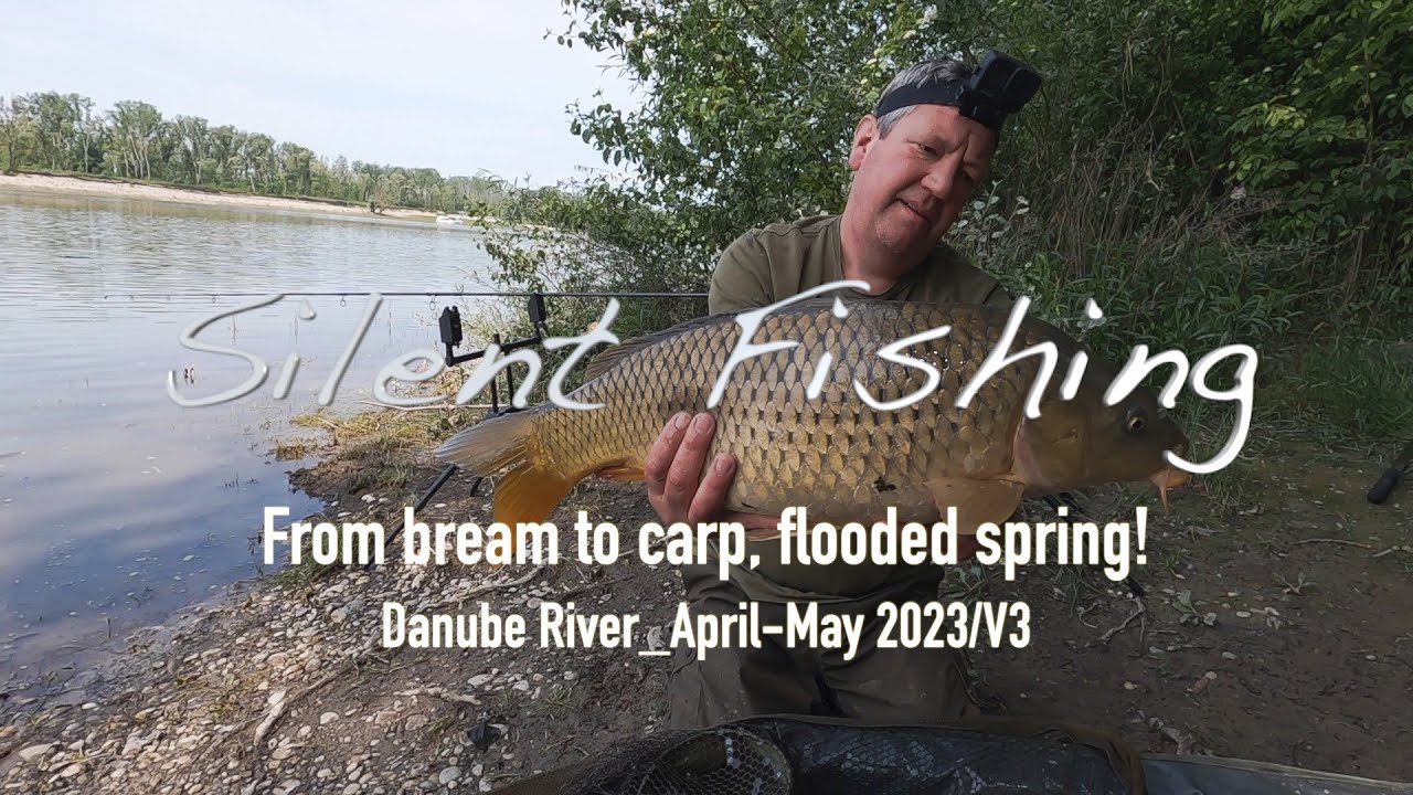 From bream to carp, flooded spring! Danube River_April-May 2023/V3 # ...