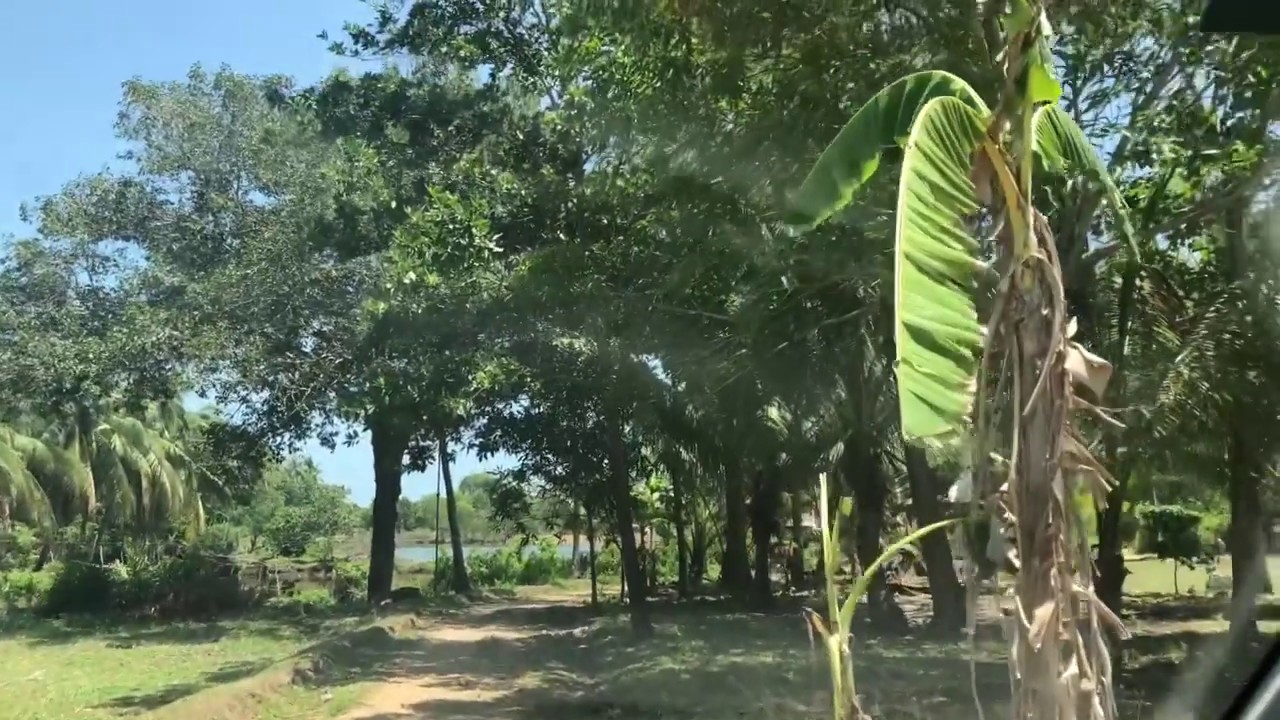 SAN FRANCISCO TALIBON BOHOL // CRAB HOUSE - YouTube