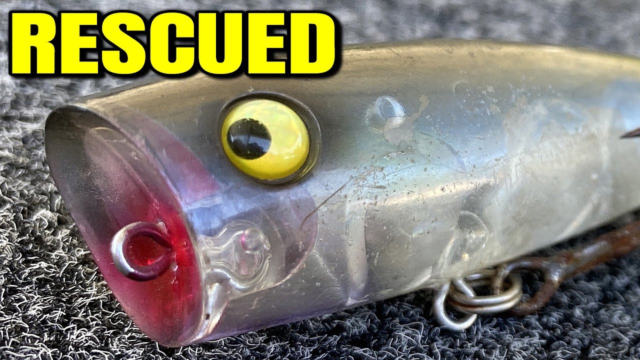 What Happens When You Use The MOST Expensive Popper for Bass Fishing ...