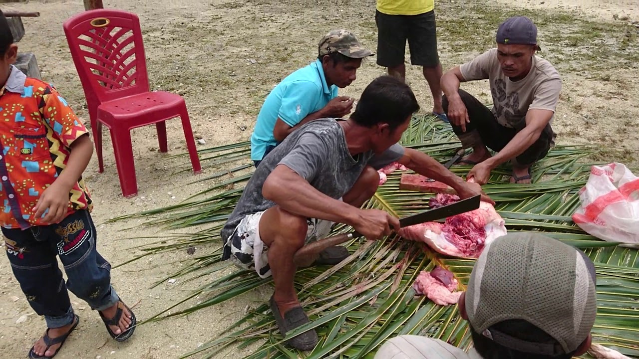 Acara Potong Babi Di Adat Nias - YouTube