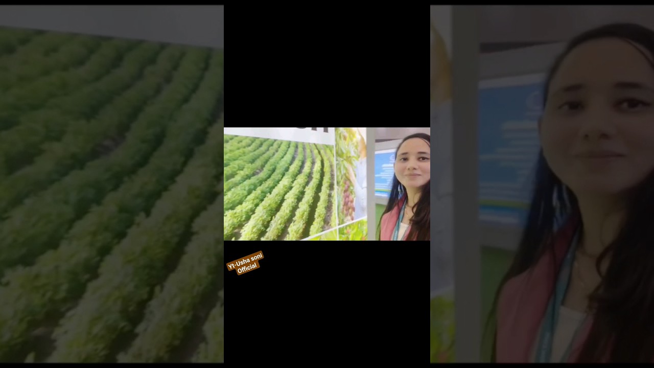 CAC –China International Agrochemical & Crop Protection Exhibition 2024 ...