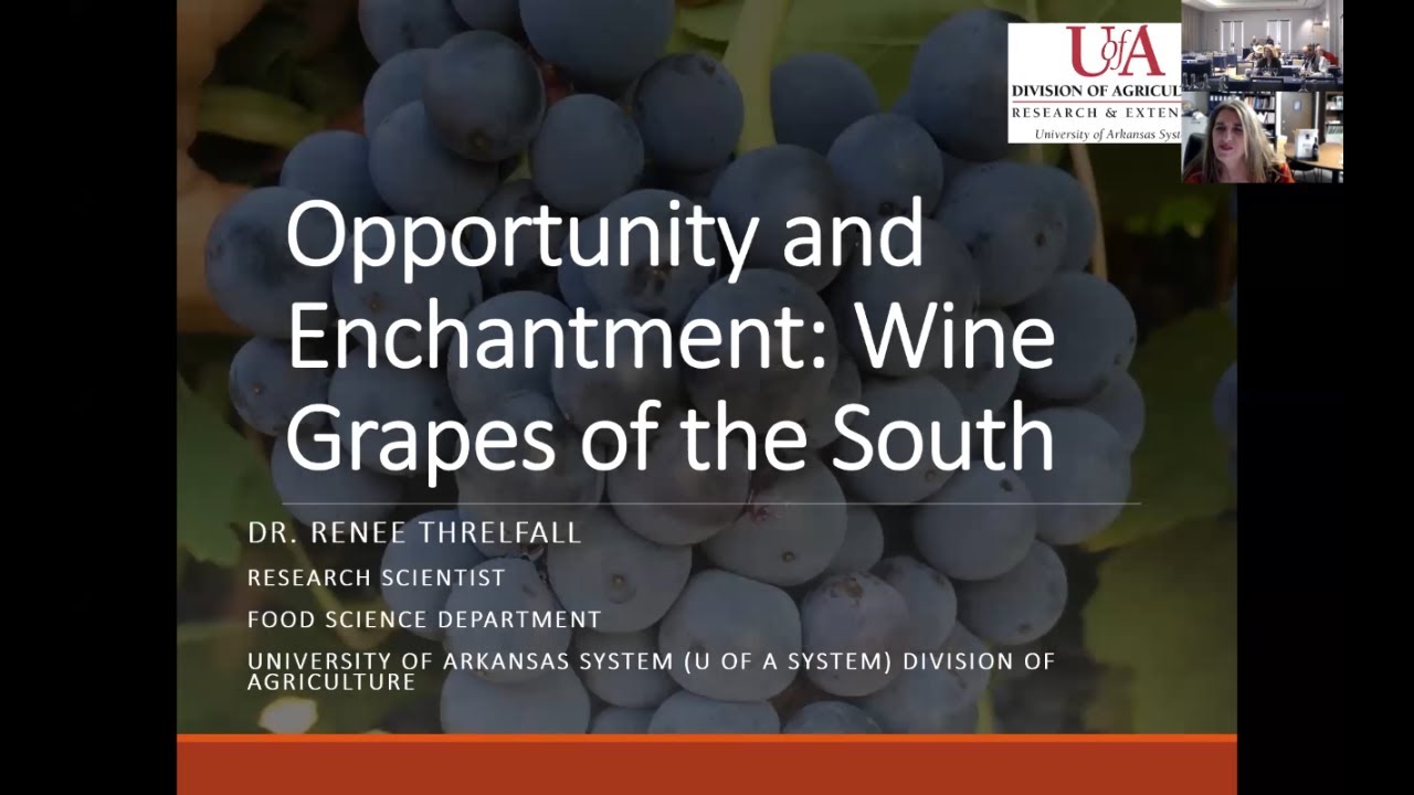 Opportunity and Enchantment: Wine Grapes for the South - YouTube