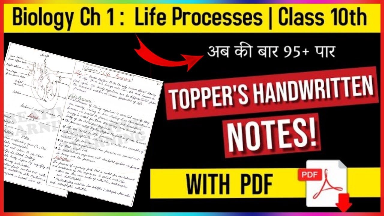 Class 10th science chapter 6 notes || Class 10th science life process ...