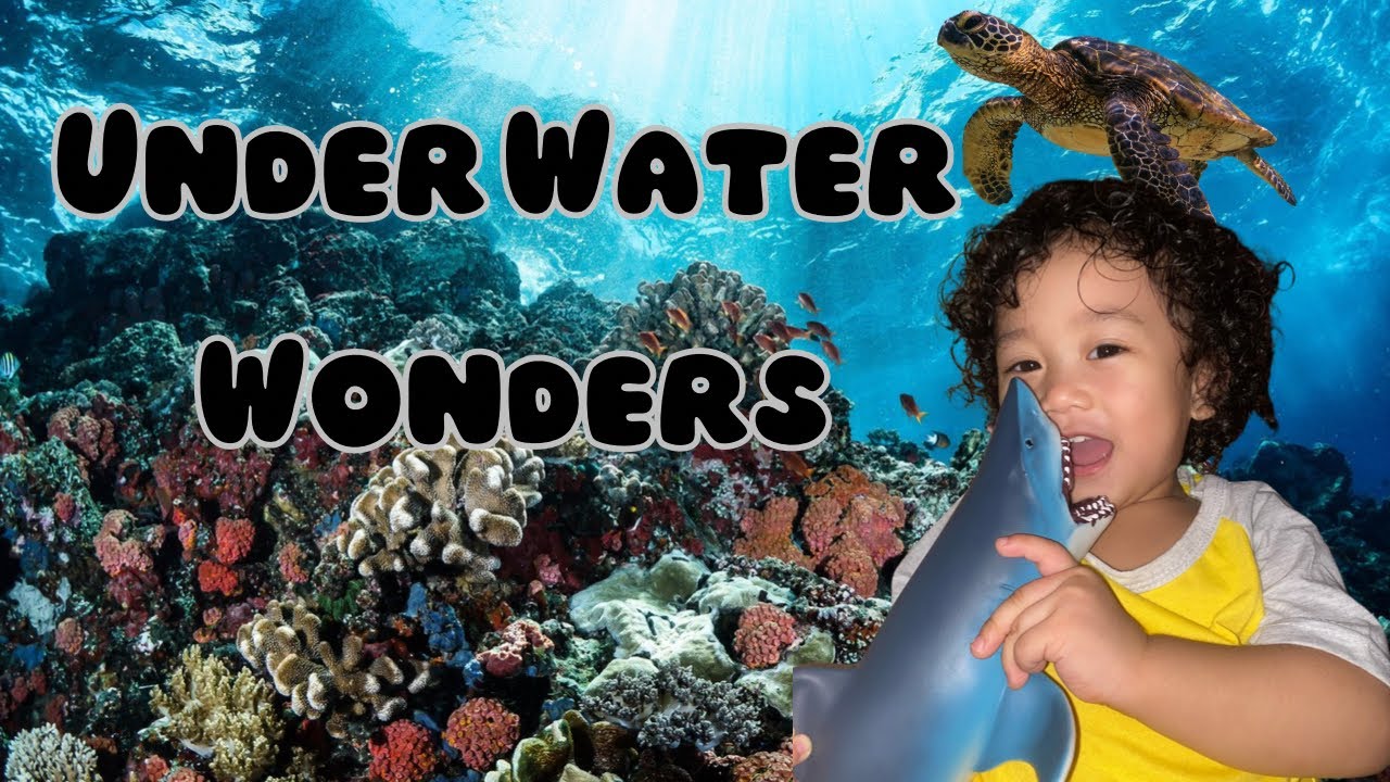 Under Water Wonders: Meet the amazing sea creatures | Fun and Learn ...