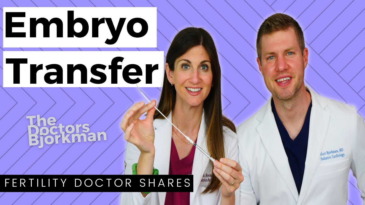 Embryo Transfer: IVF Doctor Explains What to Expect + Gives You an ...