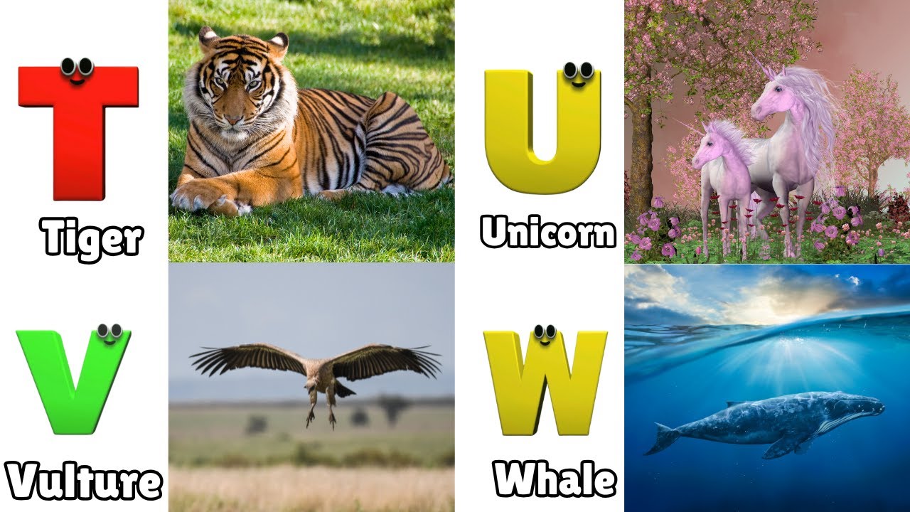 Animals ABC Song | Phonics for Kids | Learn ABC, ABC Kids, English ABC ...