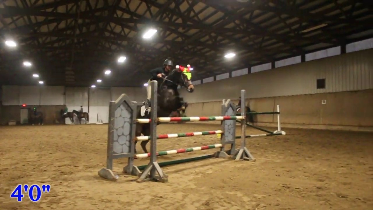 Red Coat Farm 2018 Holiday High Jump { Up to 5'3! } - YouTube