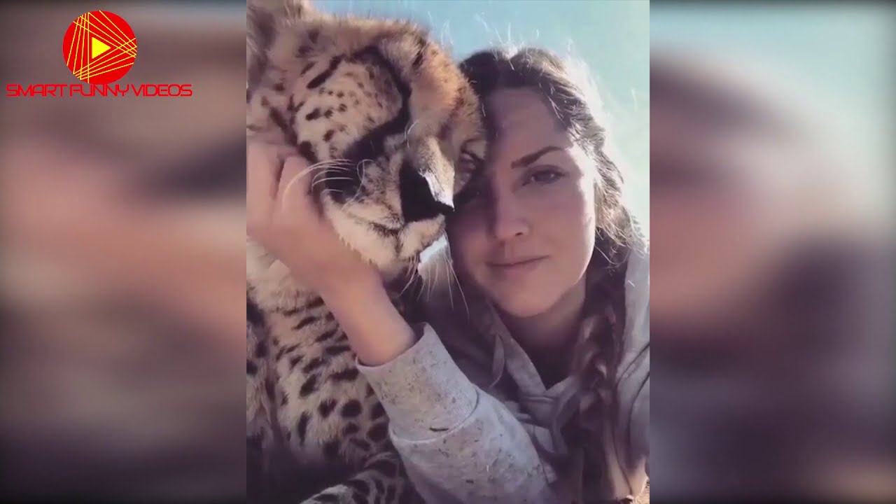 Most Dangerous Animals Kept As Pets YouTube most-dangerous-animals-kept-as-pets-youtube