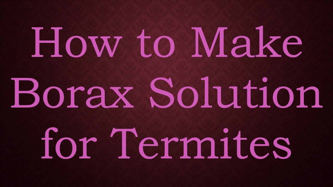 How to Make Borax Solution for Termites - YouTube