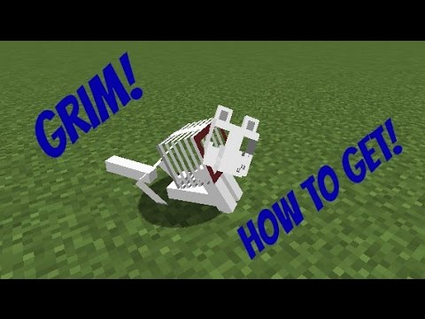 Minecraft How-To: How to get Grim, DanTDM's Dog! - YouTube