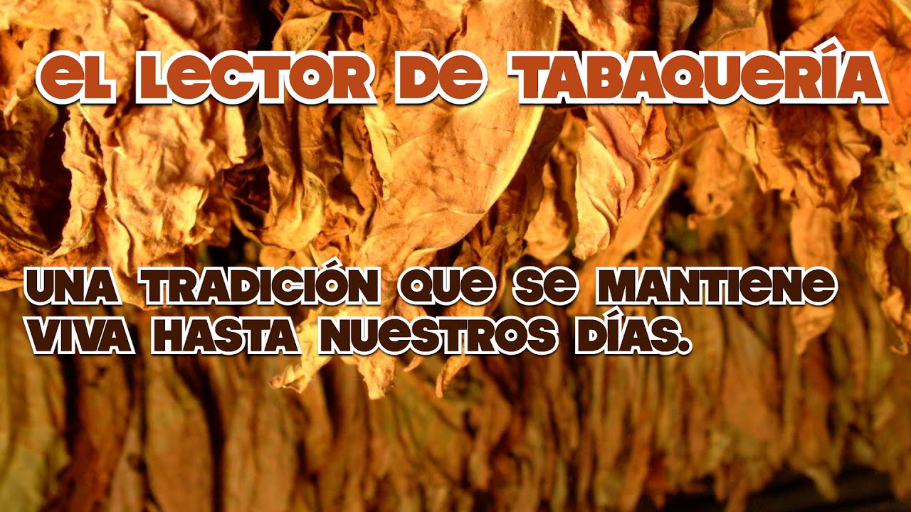 El lector de tabaquería 29 de Noviembre de 2023 - YouTube