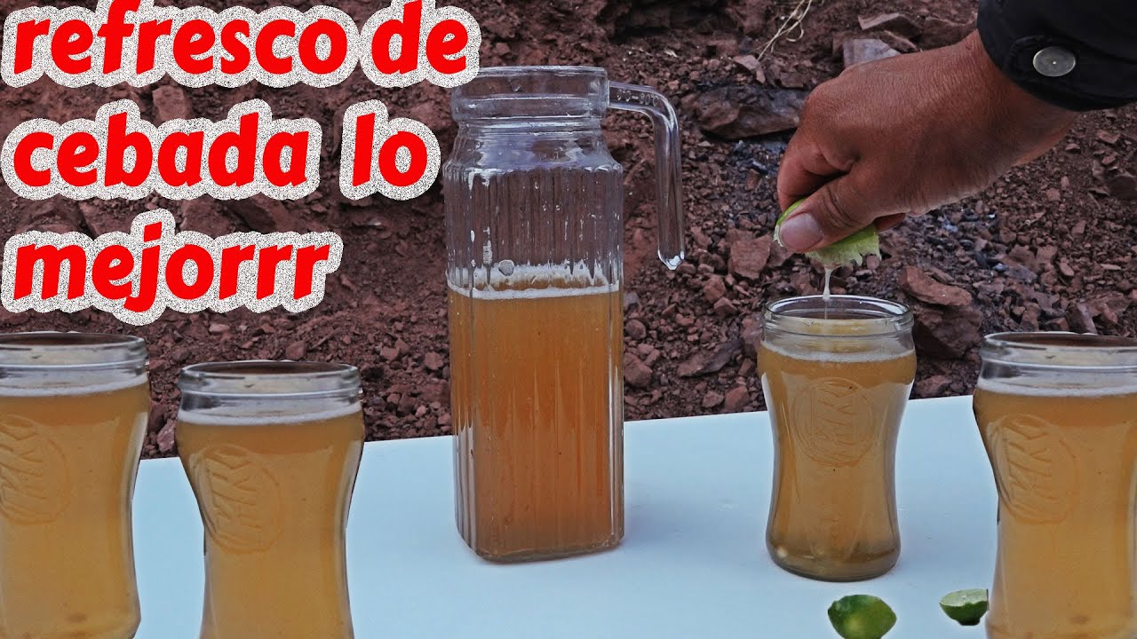 BEBIDAS | REFRESCOS DE CEBADA | CON SABORES NATURALES | RECETAS CASERAS ...