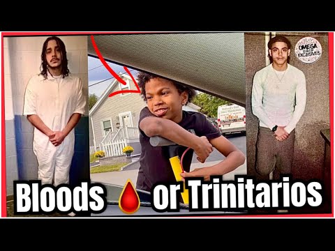 Saving a Teen From Gang Life | Trinitarios & SexMoney Murda Bloods [SMM ...