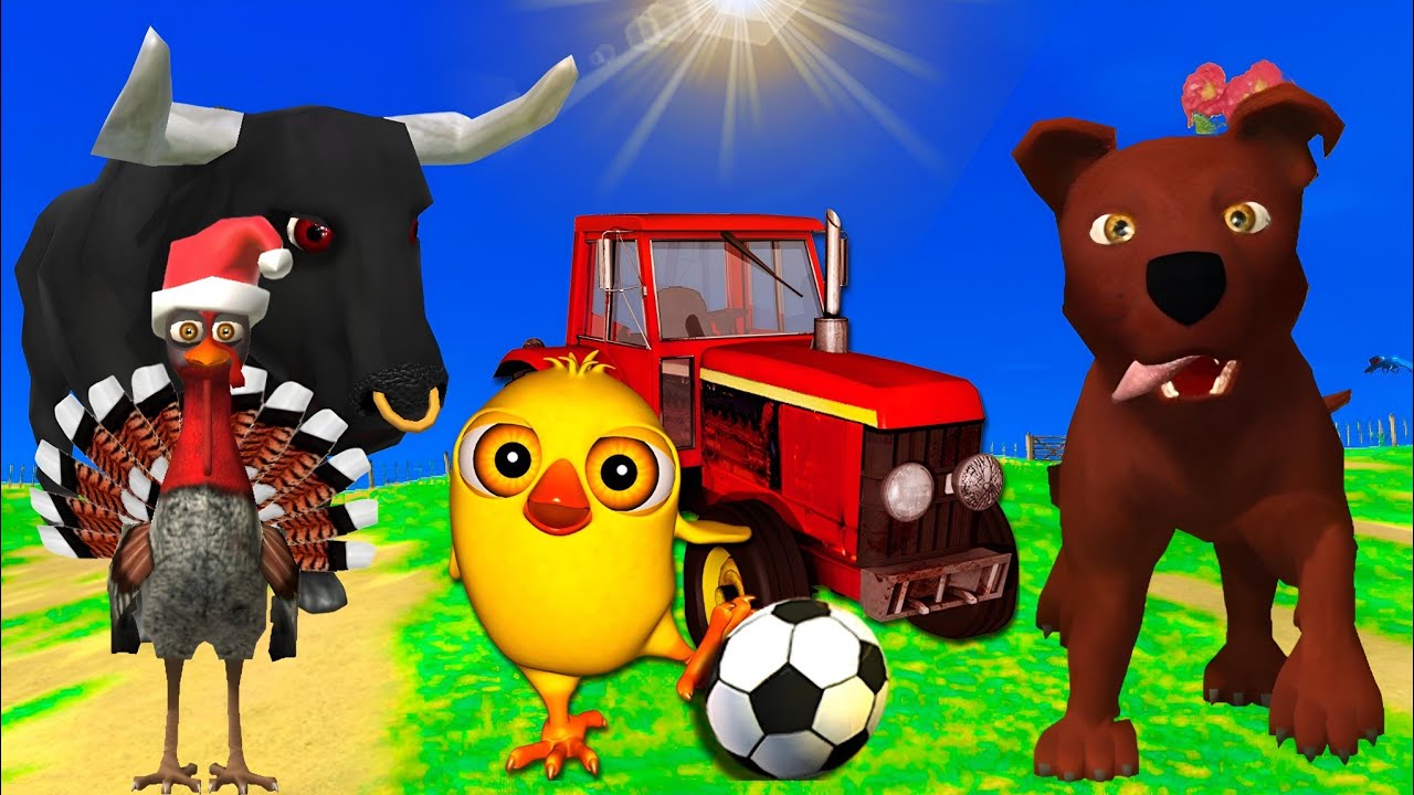 El Pollito pío pío | Los Pollitos dicen pío pío | el Toro y el Tractor ...
