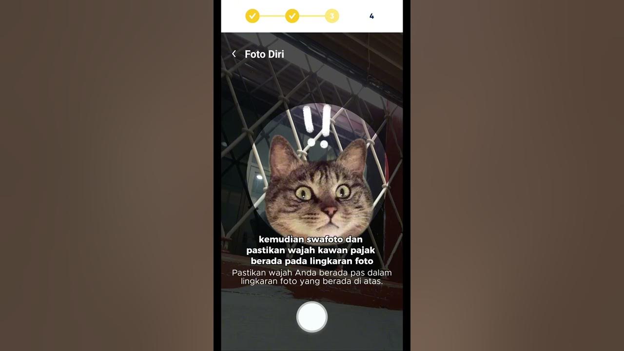 Dapat EFIN melalui M-Pajak - YouTube