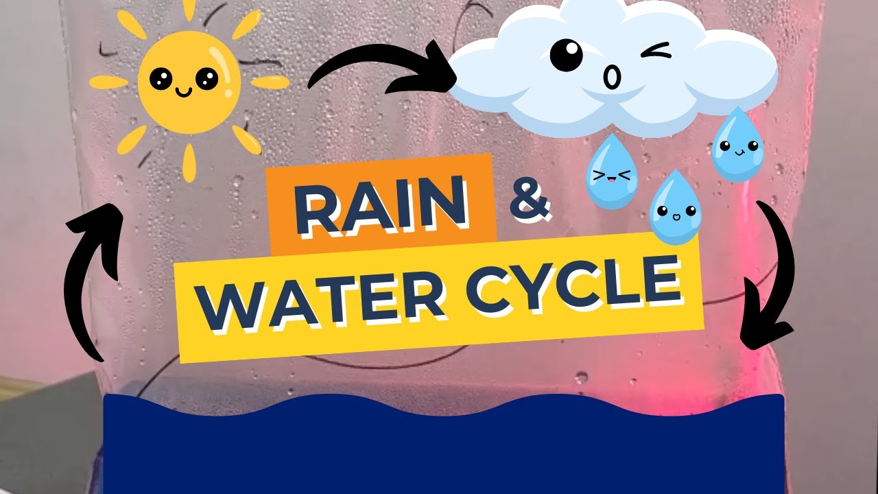 Science of Rain! Understanding Water Cycle! - YouTube