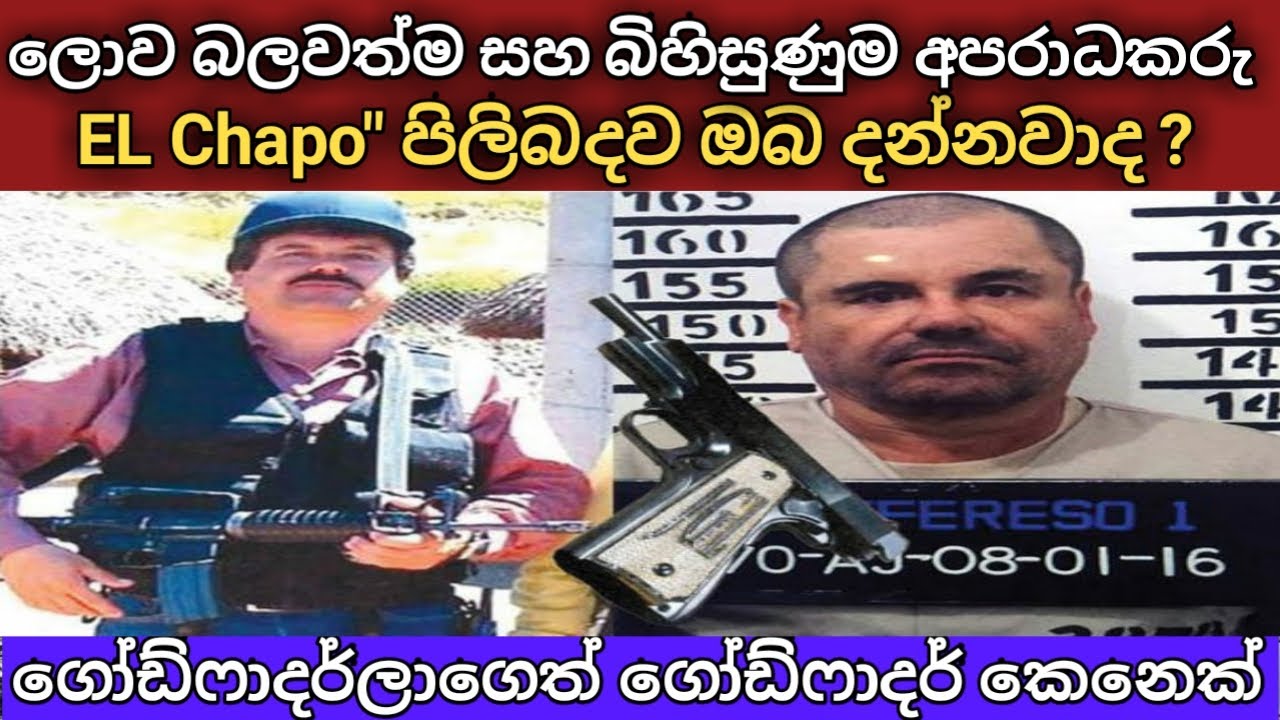 ලොව බලවත්ම පාතාල නායකයා El chapo biography - YouTube