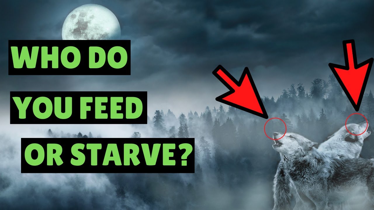 Which Wolf Are You Feeding, And Which Wolf Are You Starving (Audio Blog ...