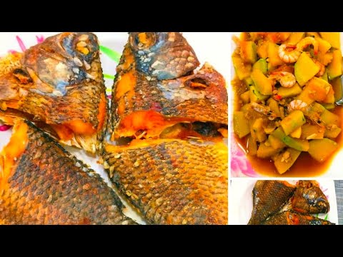 Ginisang Kalabasa with Pork Giniling, Shrimp plus Pritong Tilapia ...