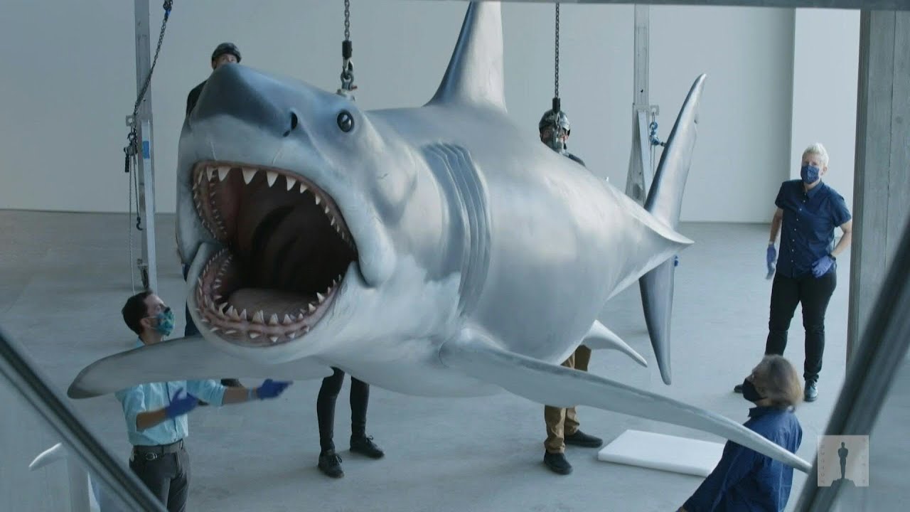 Der weiße Hai "Bruce" zieht ins Museum nach Los Angeles | AFP - YouTube