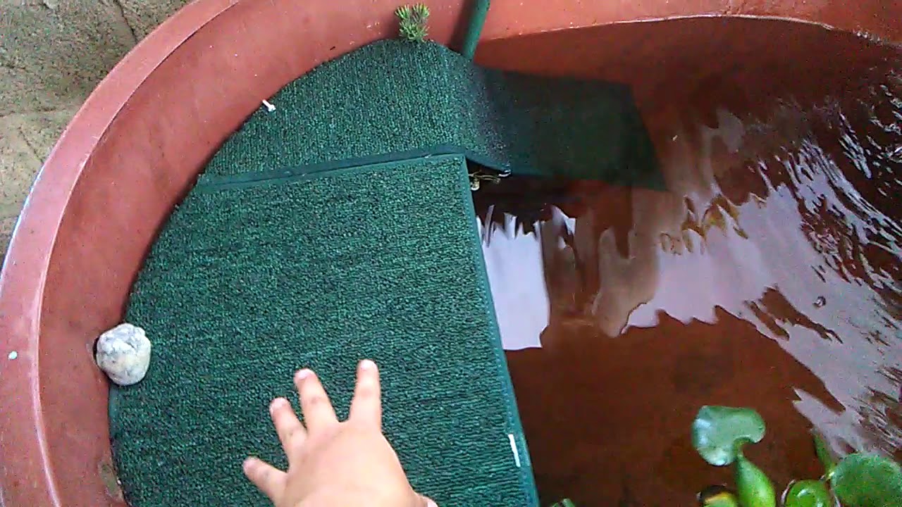 Cómo hacer una zona seca para tortugas - YouTube