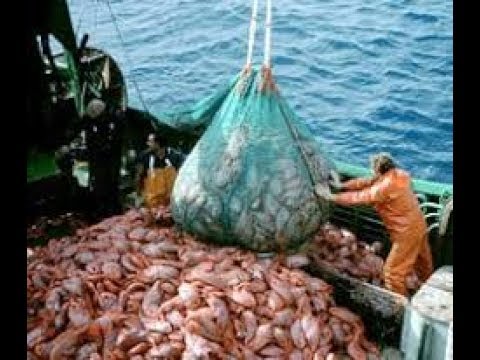 Double trawling in indian ocean......||| - YouTube